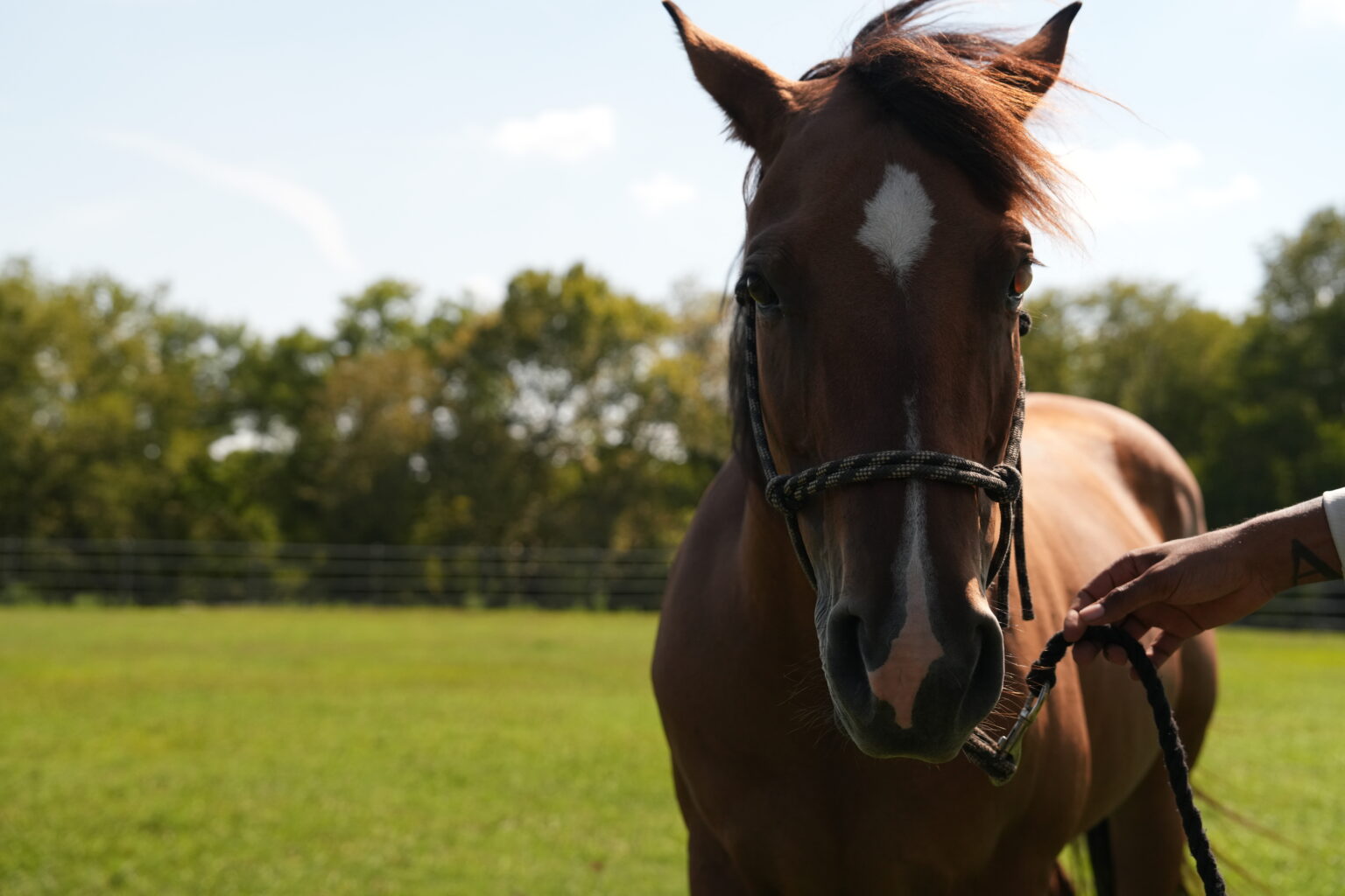 River Ranch River Ranch Educational Charities