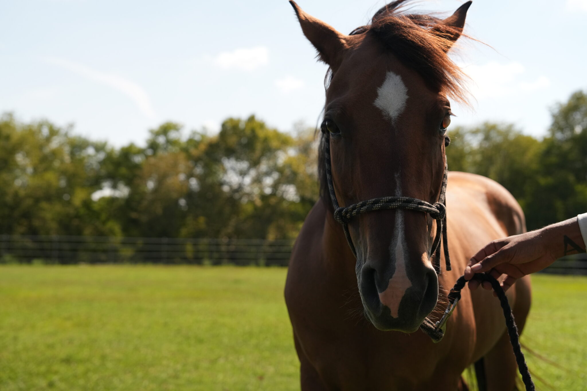 River Ranch River Ranch Educational Charities